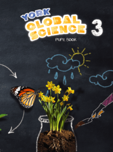 All Courses - York-E LMS